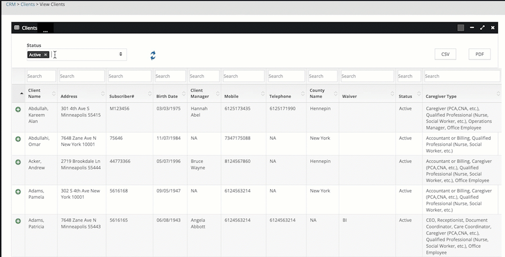 View Client