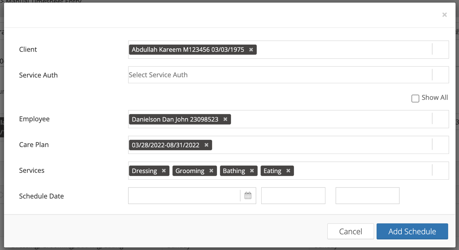 Manual Timesheet Entry