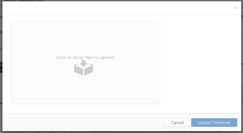Manual Timesheet Entry